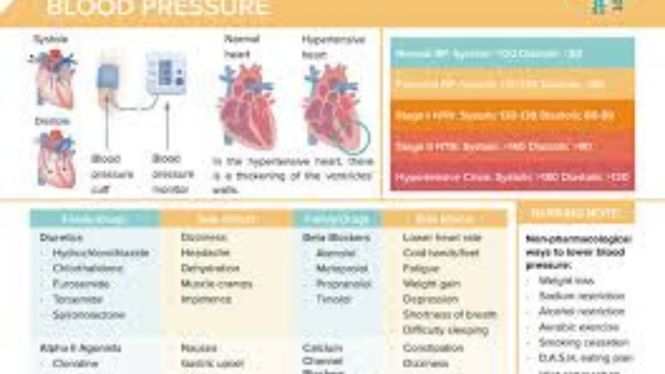 High Blood Pressure Explained: Medications, Interactions & Safety